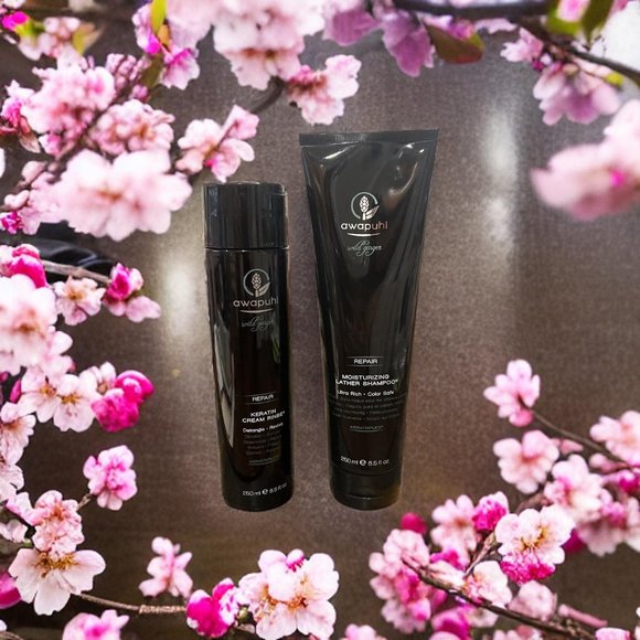 Paul Mitchell | Hair | Paul Mitchell Awapuhi Wild Ginger Repair Shampoo ...
